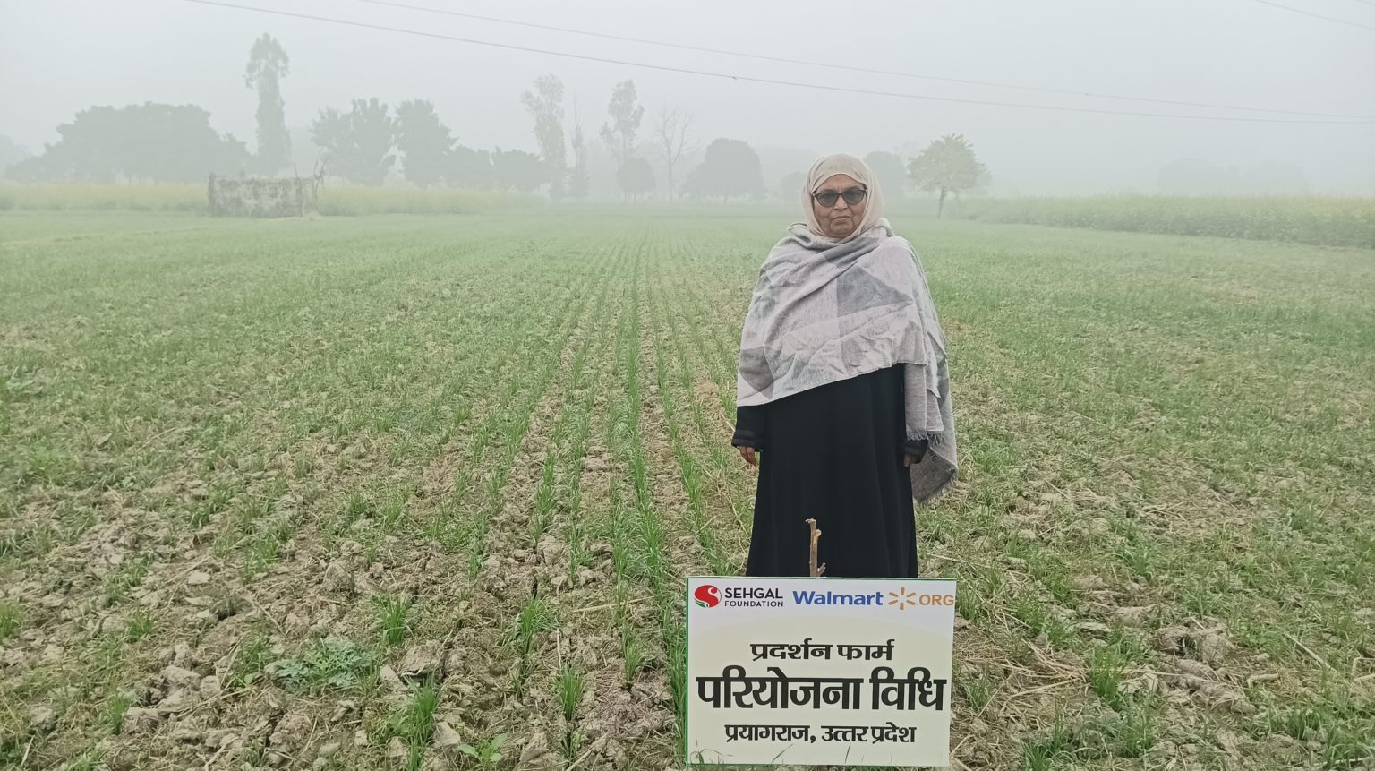 Zero Tillage in Wheat: A Cost-Effective Practice that Enhances Soil Health - S M Sehgal Foundation