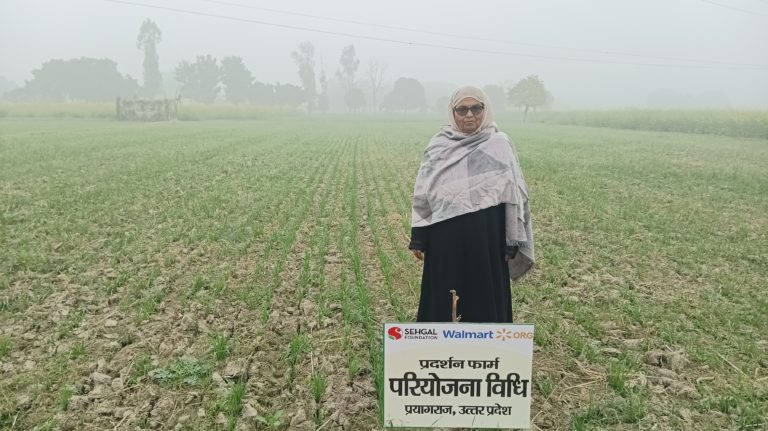 Zero tillage wheat farming: A cost-effective approach